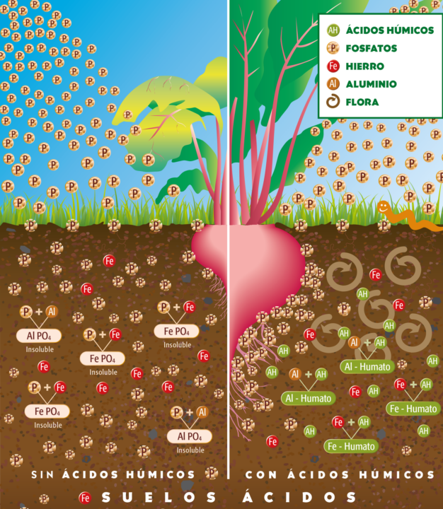Ácido húmico - Hidroponía Ecuador